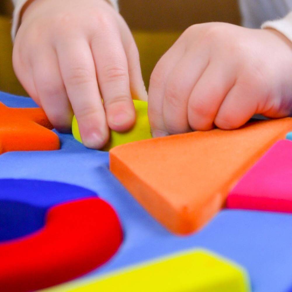 Geometric Shape Sorter - Soft Base & Animal Shapes